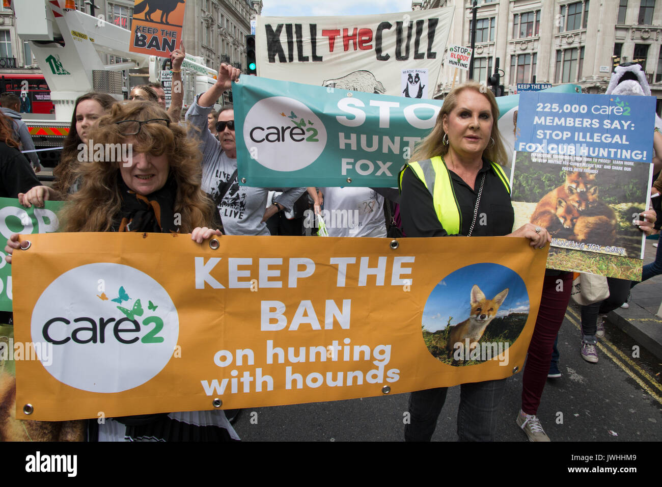 London, UK, 12th August 2017. Make Badger Culling, Fox Hunting & Driven ...