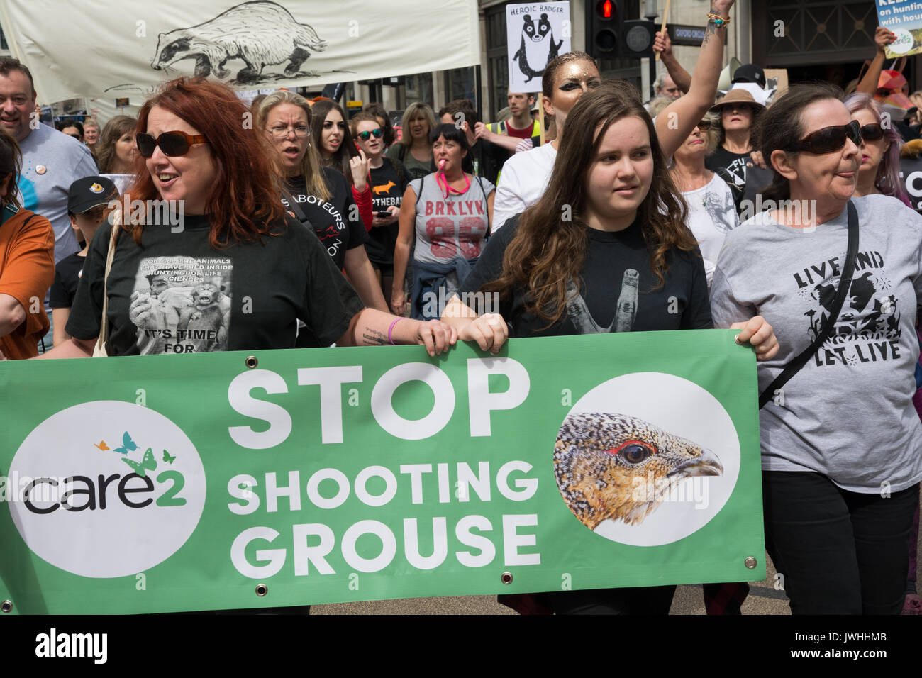 London, UK, 12th August 2017. Make Badger Culling, Fox Hunting & Driven ...