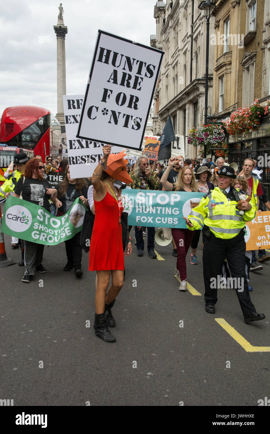 London, UK, 12th August 2017. Make Badger Culling, Fox Hunting & Driven ...