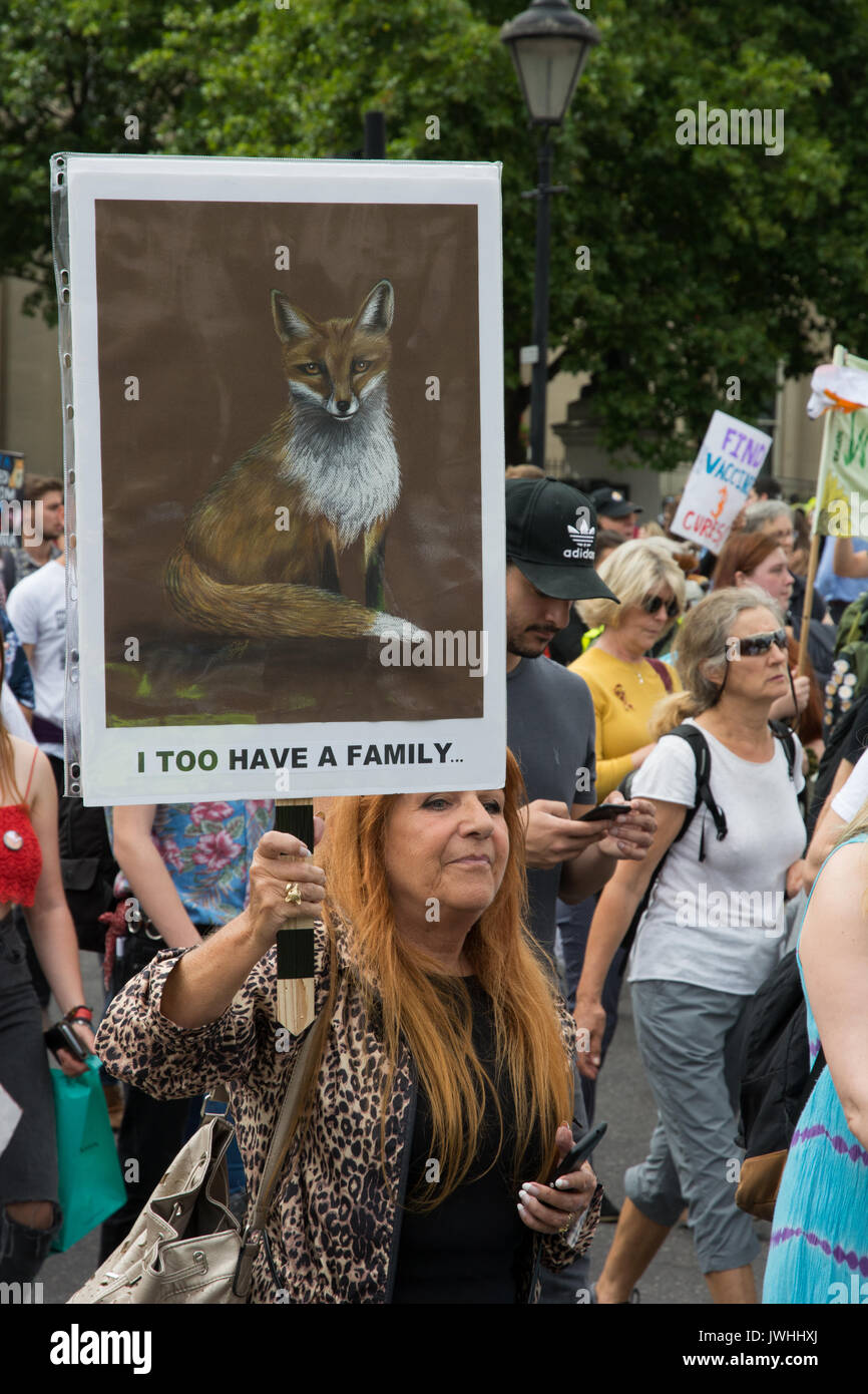 London, UK, 12th August 2017. Make Badger Culling, Fox Hunting & Driven ...