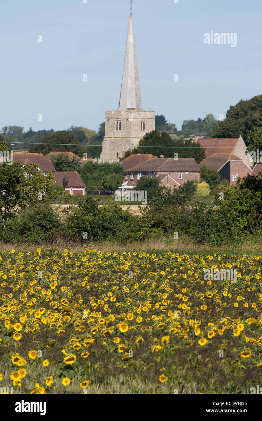 Hoo peninsula kent hi-res stock photography and images - Alamy