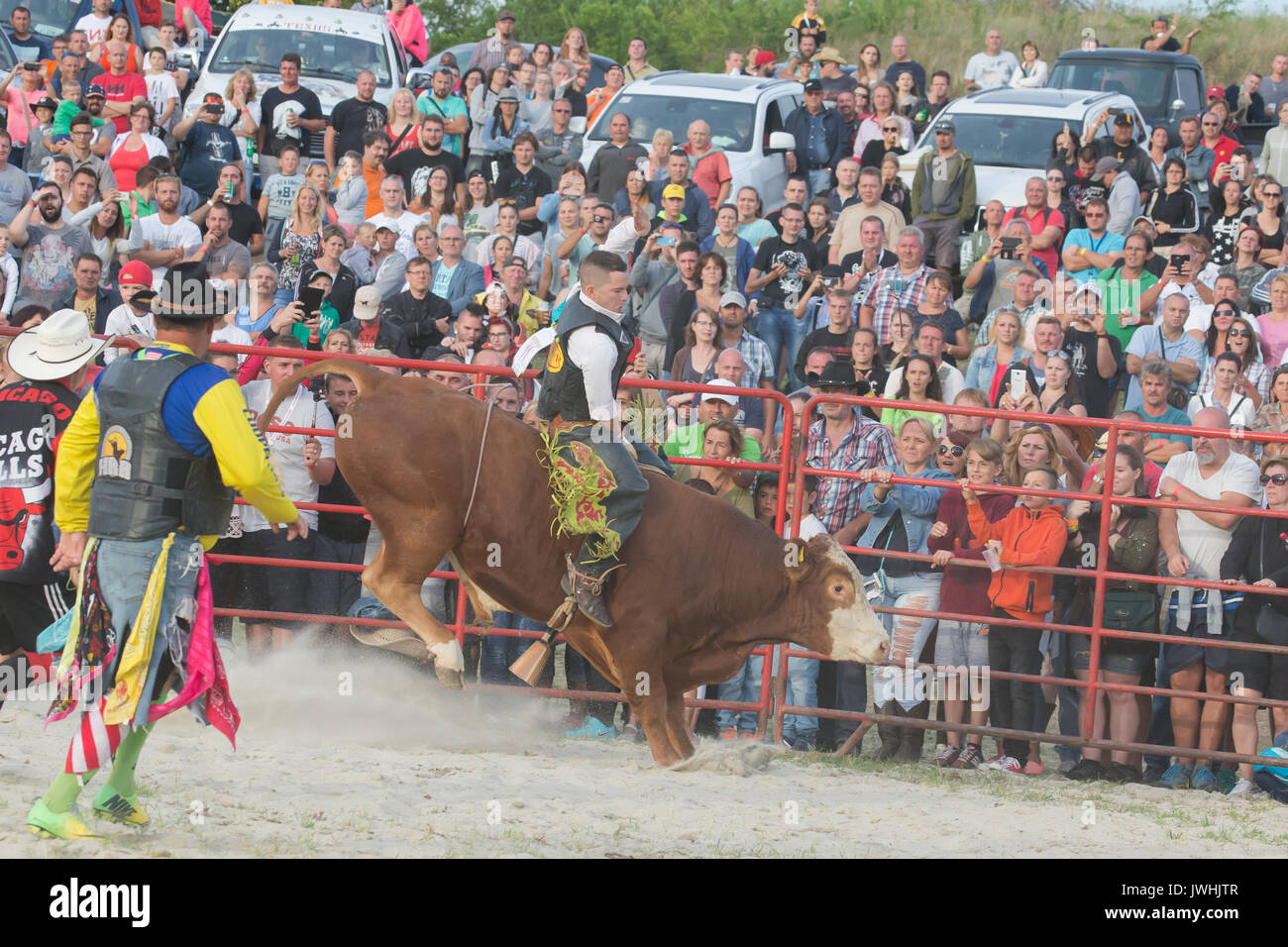 Komarom, Hungary. 12th Aug, 2017. Hungary's Simonyi Gabor competes ...