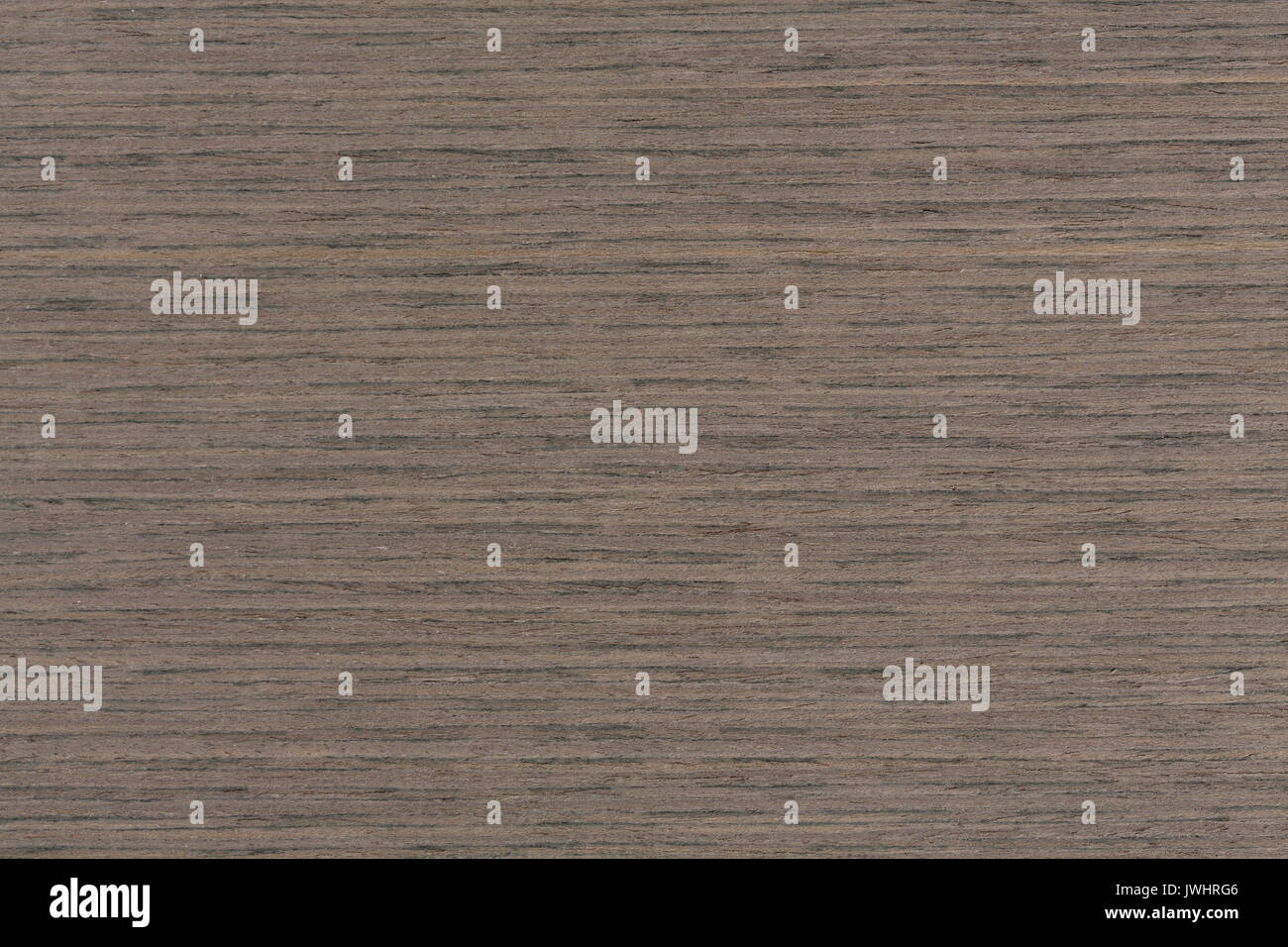 Gray oak wood texture on macro. Natural background for design Stock ...