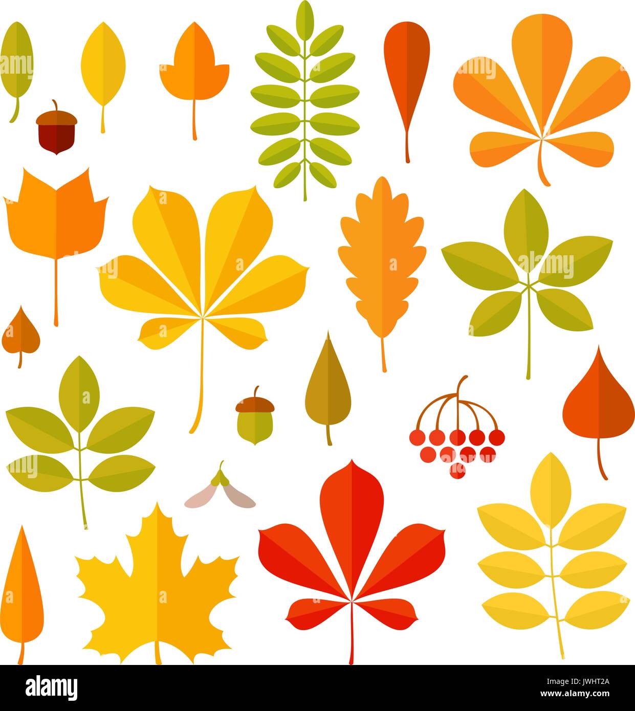 Autumn leaf set isolated on white background Stock Vector Image & Art ...