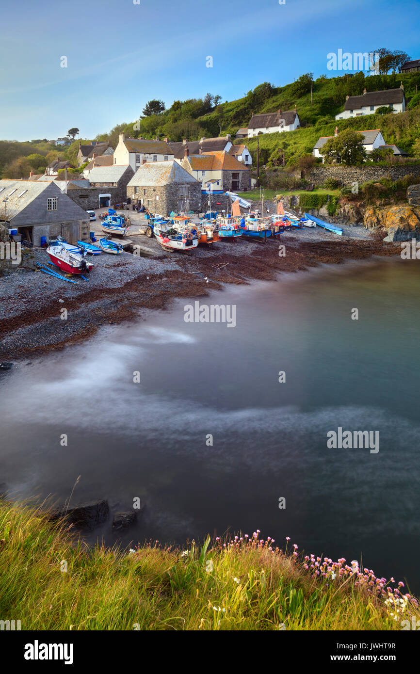 Cadgwith Cove in Cornwall Stock Photo - Alamy