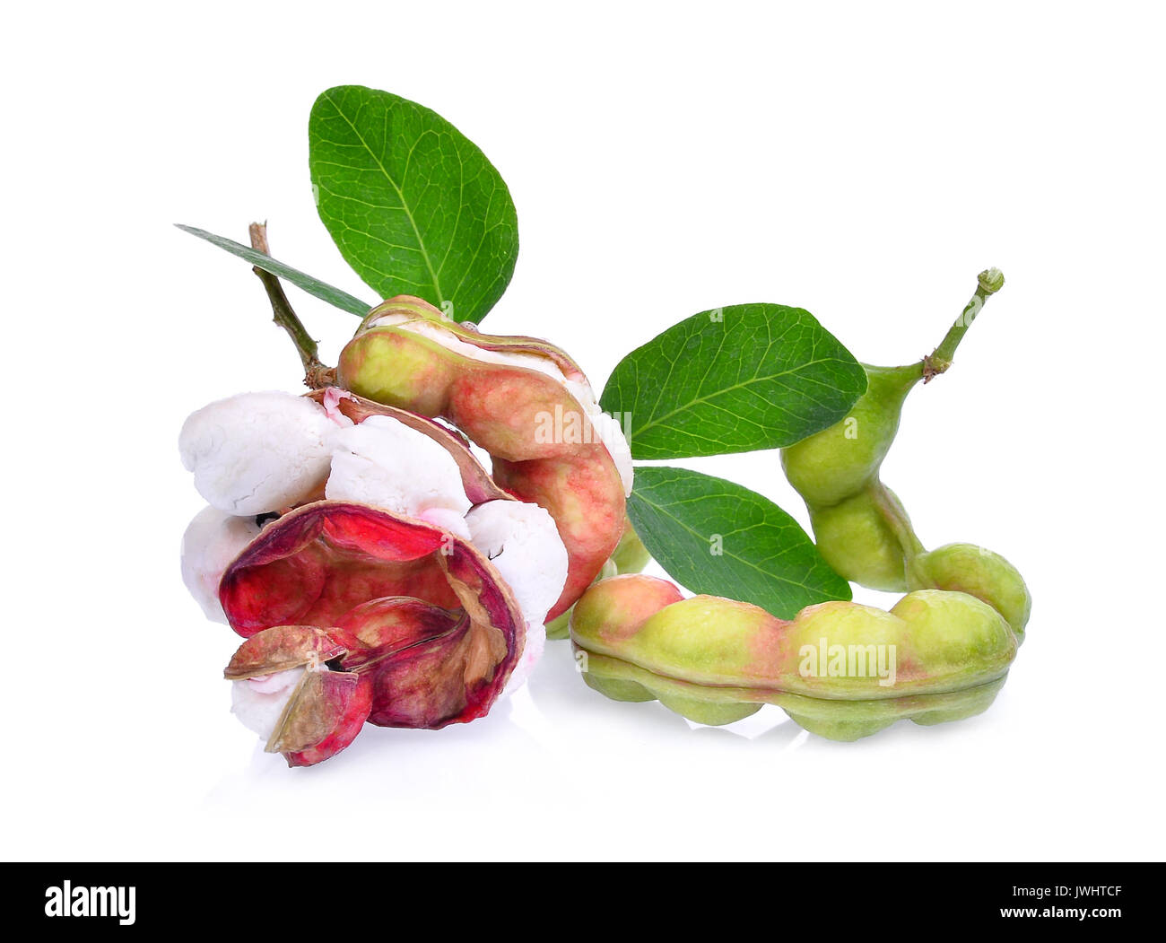 fresh manila tamarind fruit isolated on white background Stock Photo ...