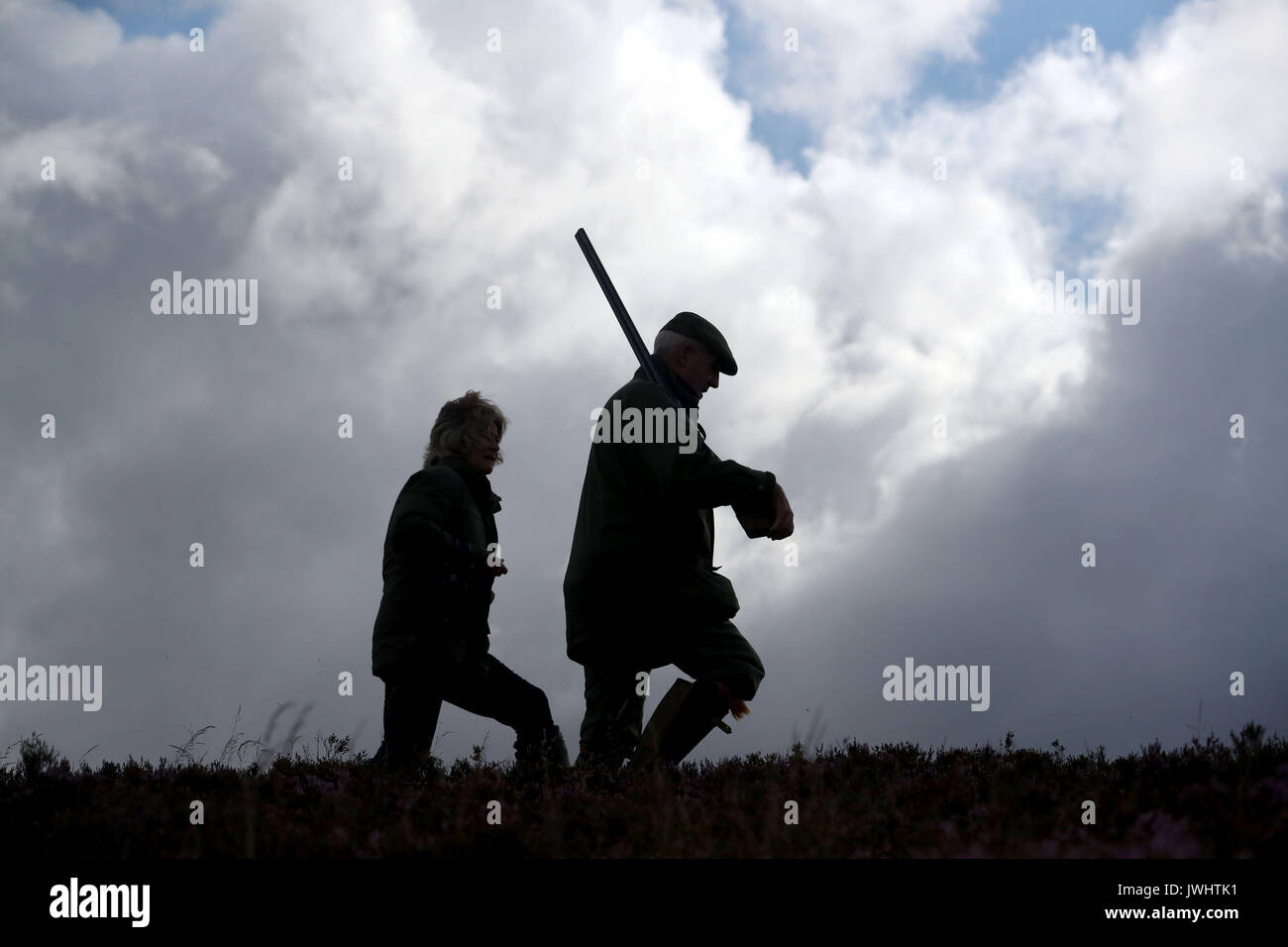 Members of a shooting party on the moors at the Alvie Estate near ...