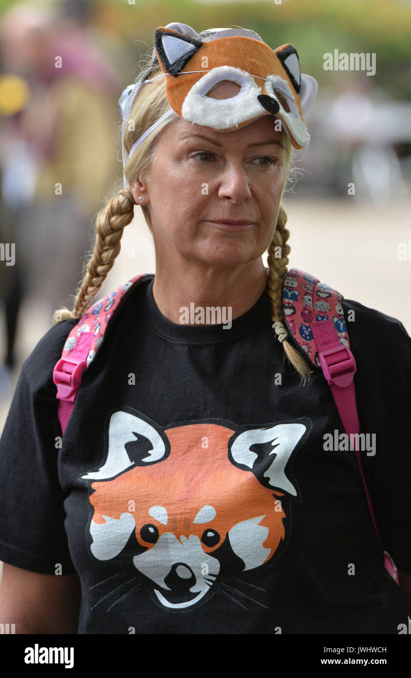 Badger Shooting High Resolution Stock Photography and Images - Alamy