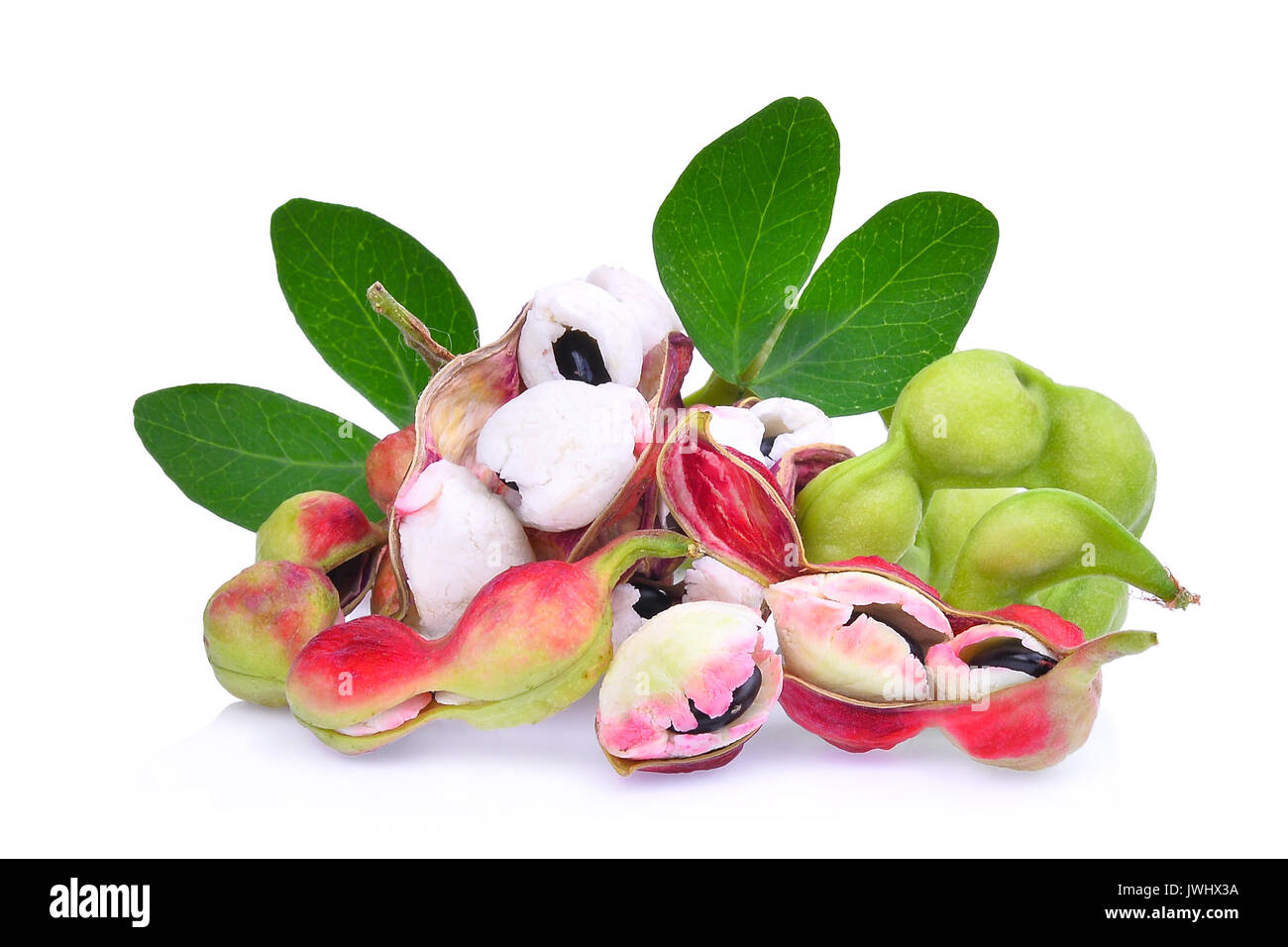 fresh manila tamarind fruit isolated on white background Stock Photo ...