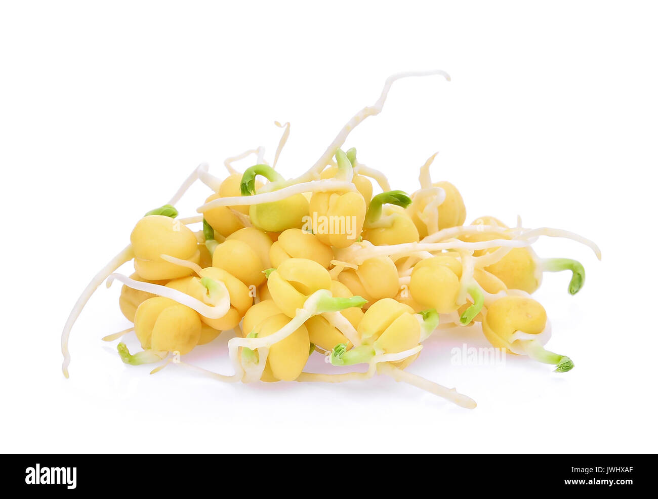 snow pea sprouts isolated on white background Stock Photo - Alamy