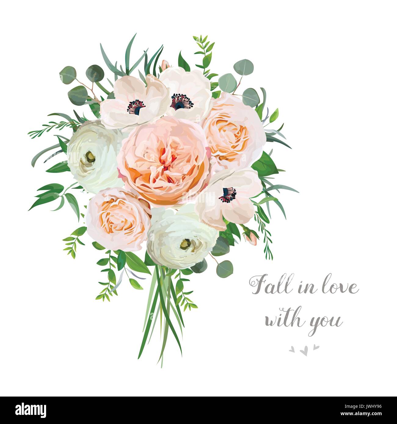 Ranunculus pink flowers leaves Stock Vector Images - Alamy