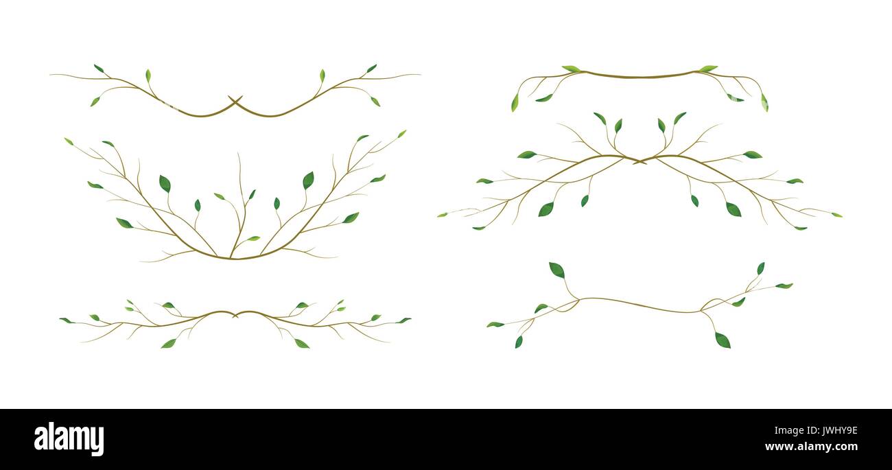 Tree branch twig designer art different foliage natural branches ...