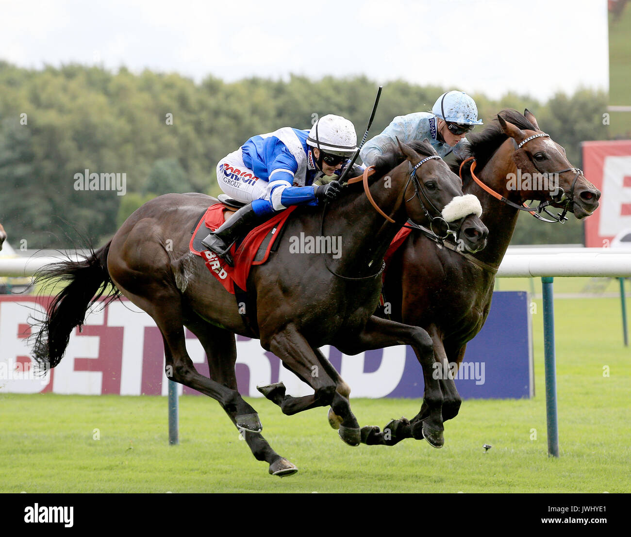 Megan nicholls hi-res stock photography and images - Alamy