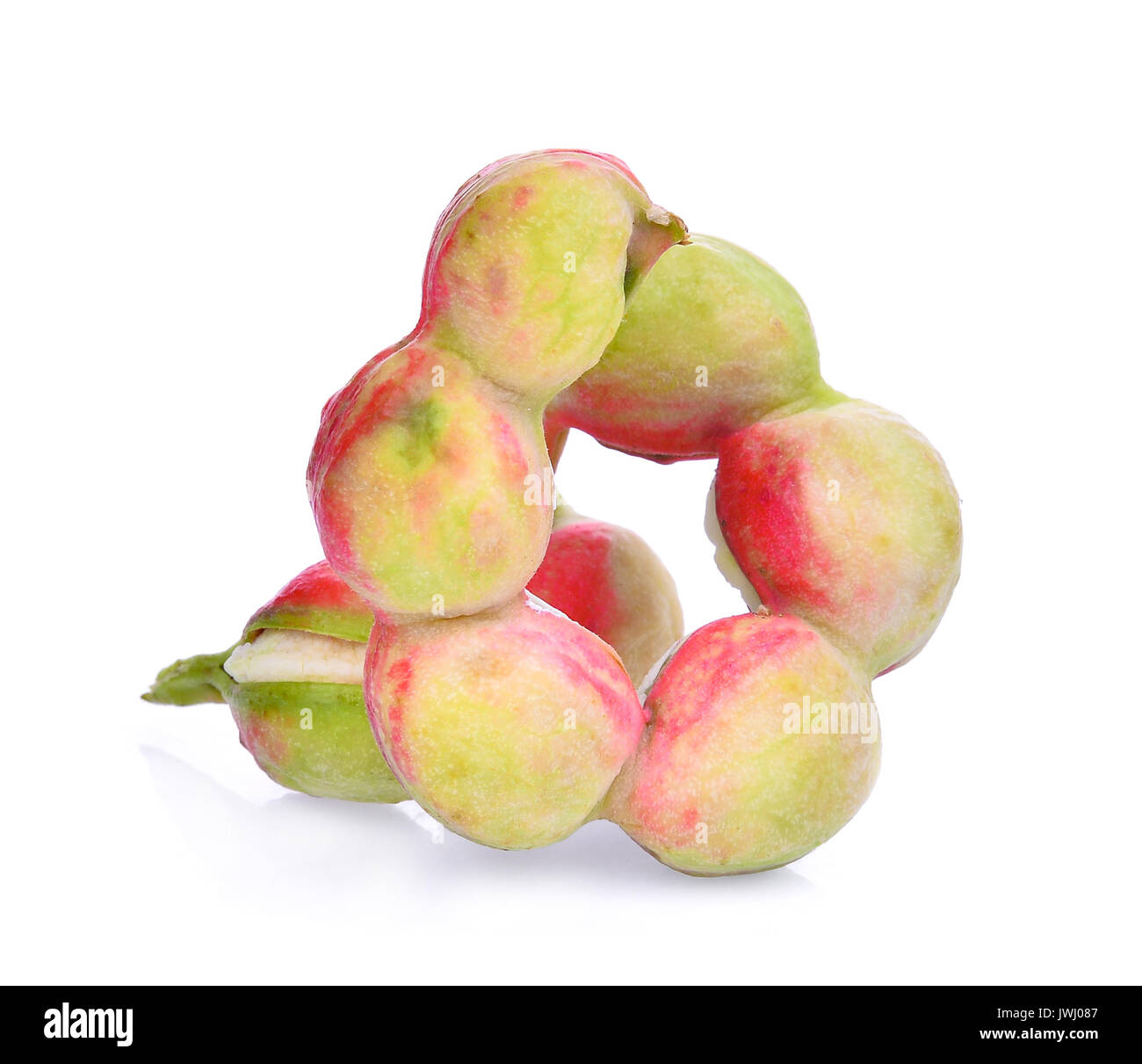 fresh manila tamarind fruit isolated on white background Stock Photo ...