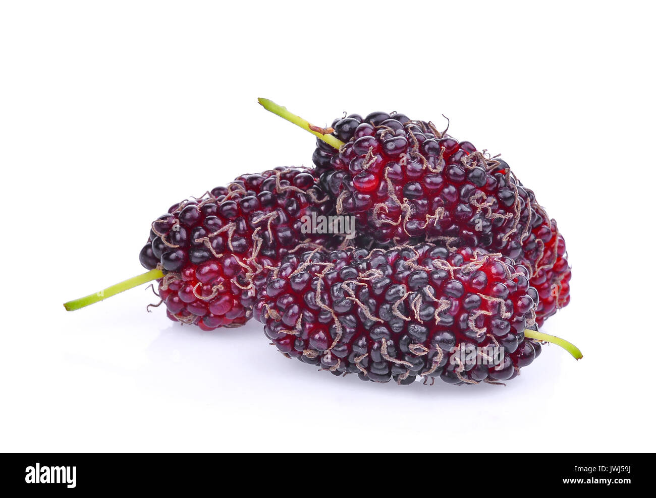 Mulberry isolated hi-res stock photography and images - Alamy