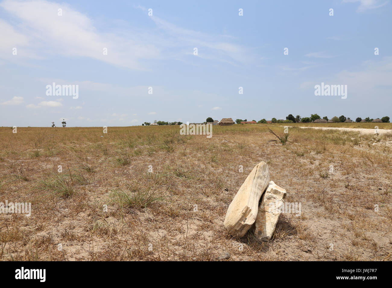 Capolo hi-res stock photography and images - Alamy