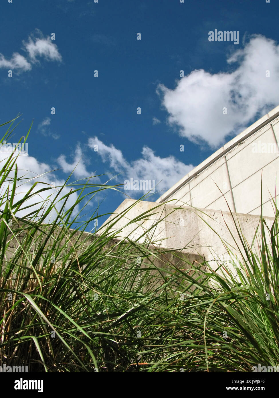 Pulling out weeds hi-res stock photography and images - Alamy