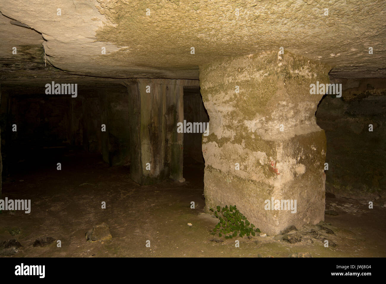 Eleutherna was an ancient city in Crete with impressive remains of 2000 ...