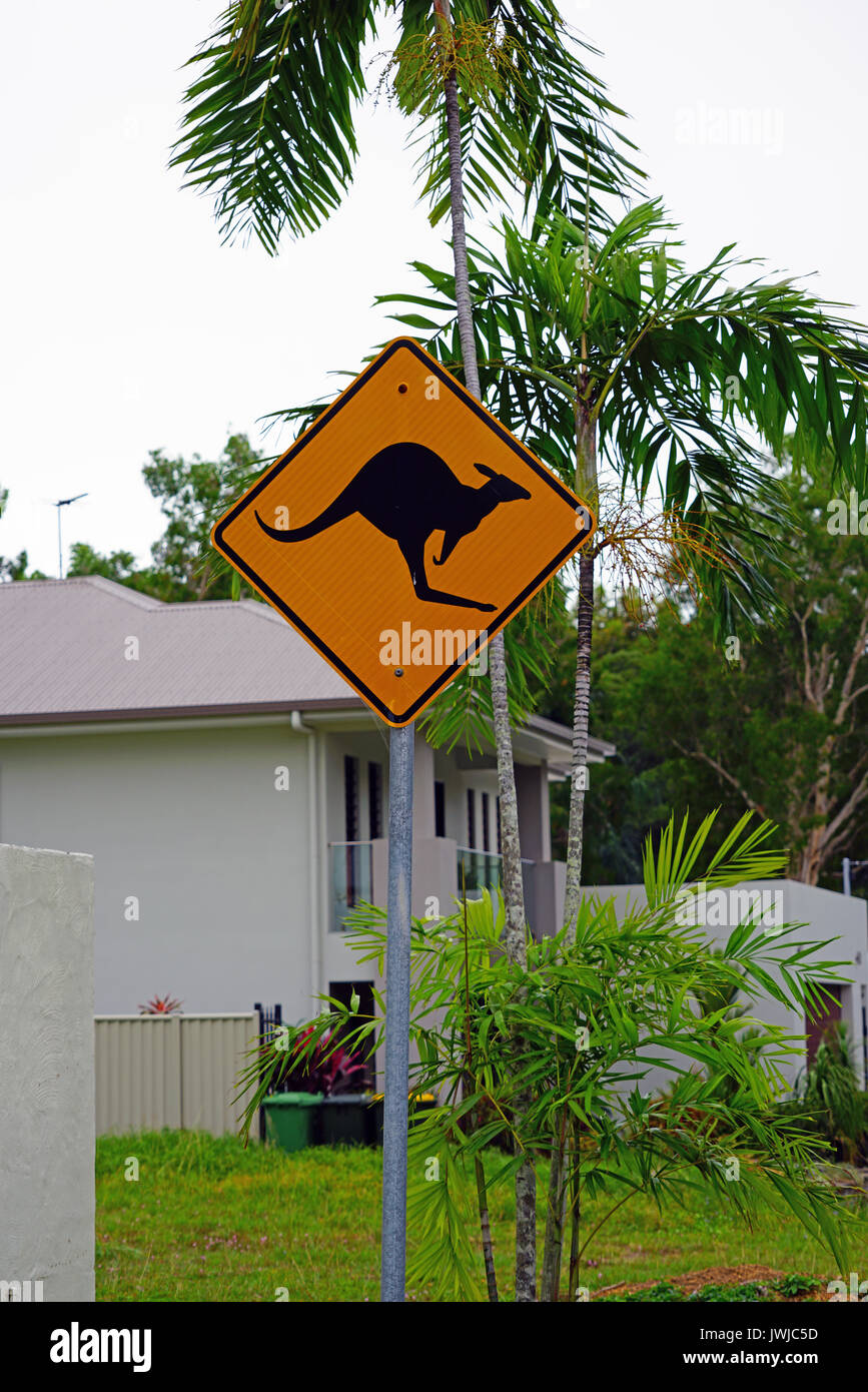 Kangaroo crossing road sign hi-res stock photography and images - Alamy
