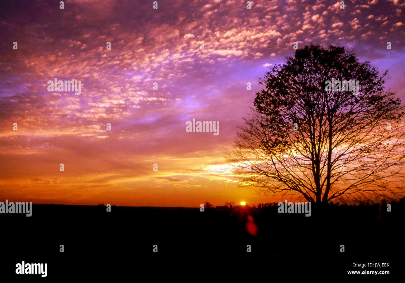 Brilliantly lit sunset tranquil sunset sunrise sky landscape horizon ...
