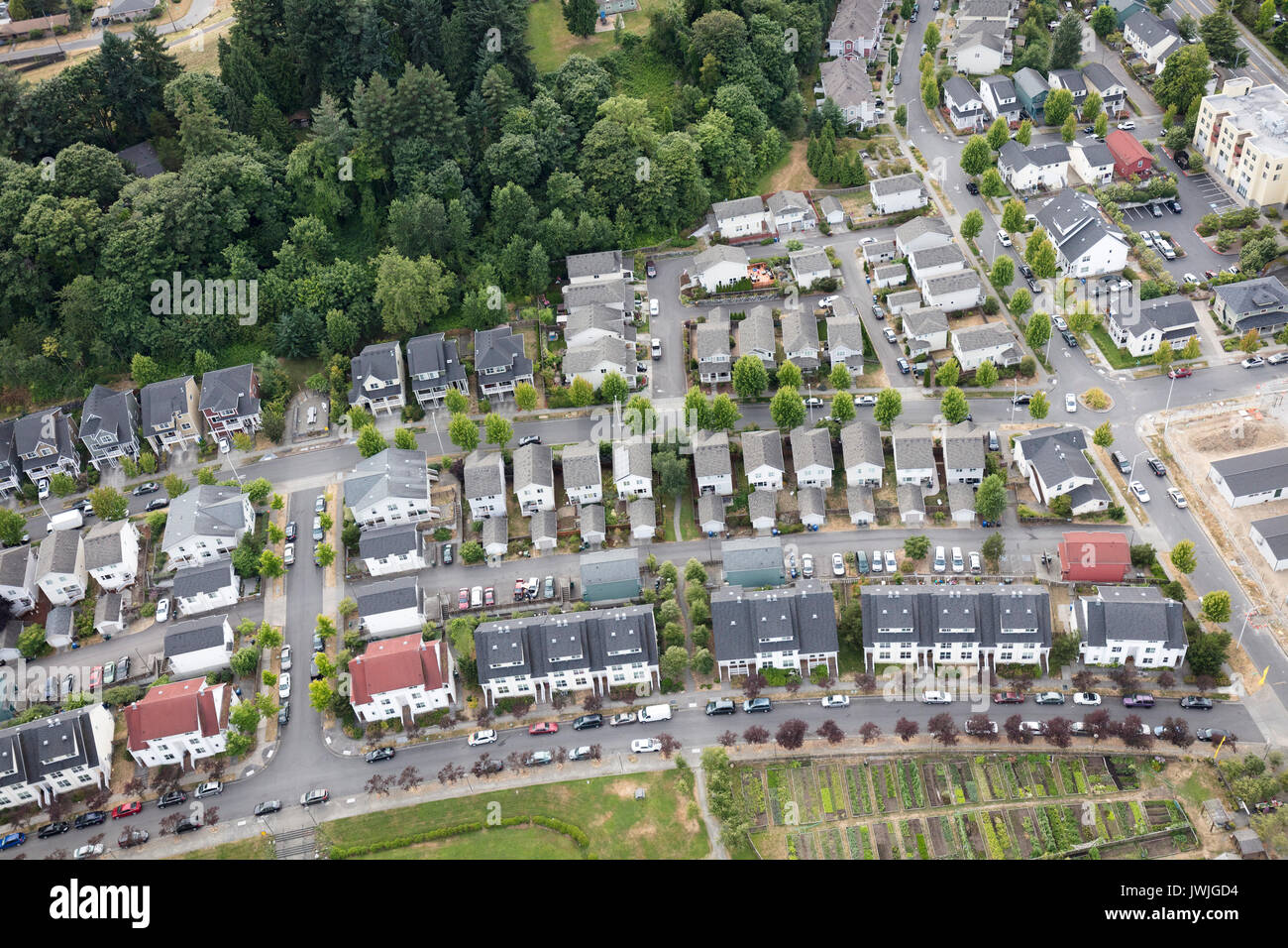 aerial view of houses at 39th Ave S, New Holly, Rainier Valley, Seattle ...
