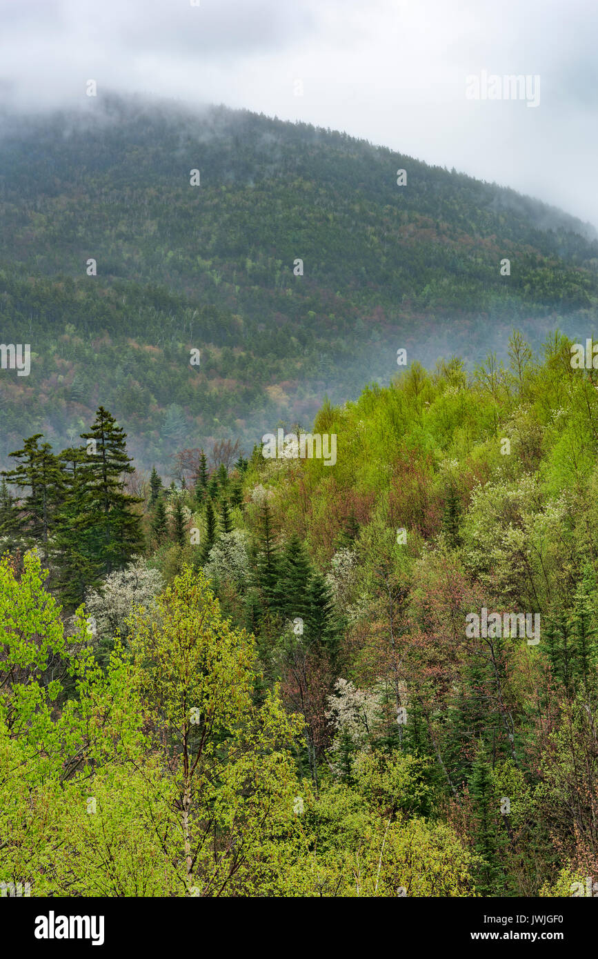 Spring view of the White Mountain National Forest along Kancamagus ...