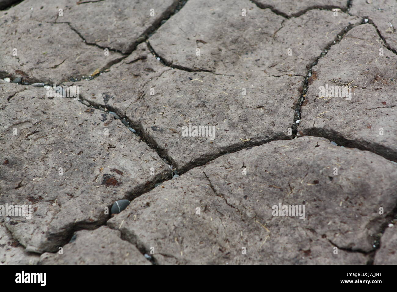 Dried mud flats hi-res stock photography and images - Alamy