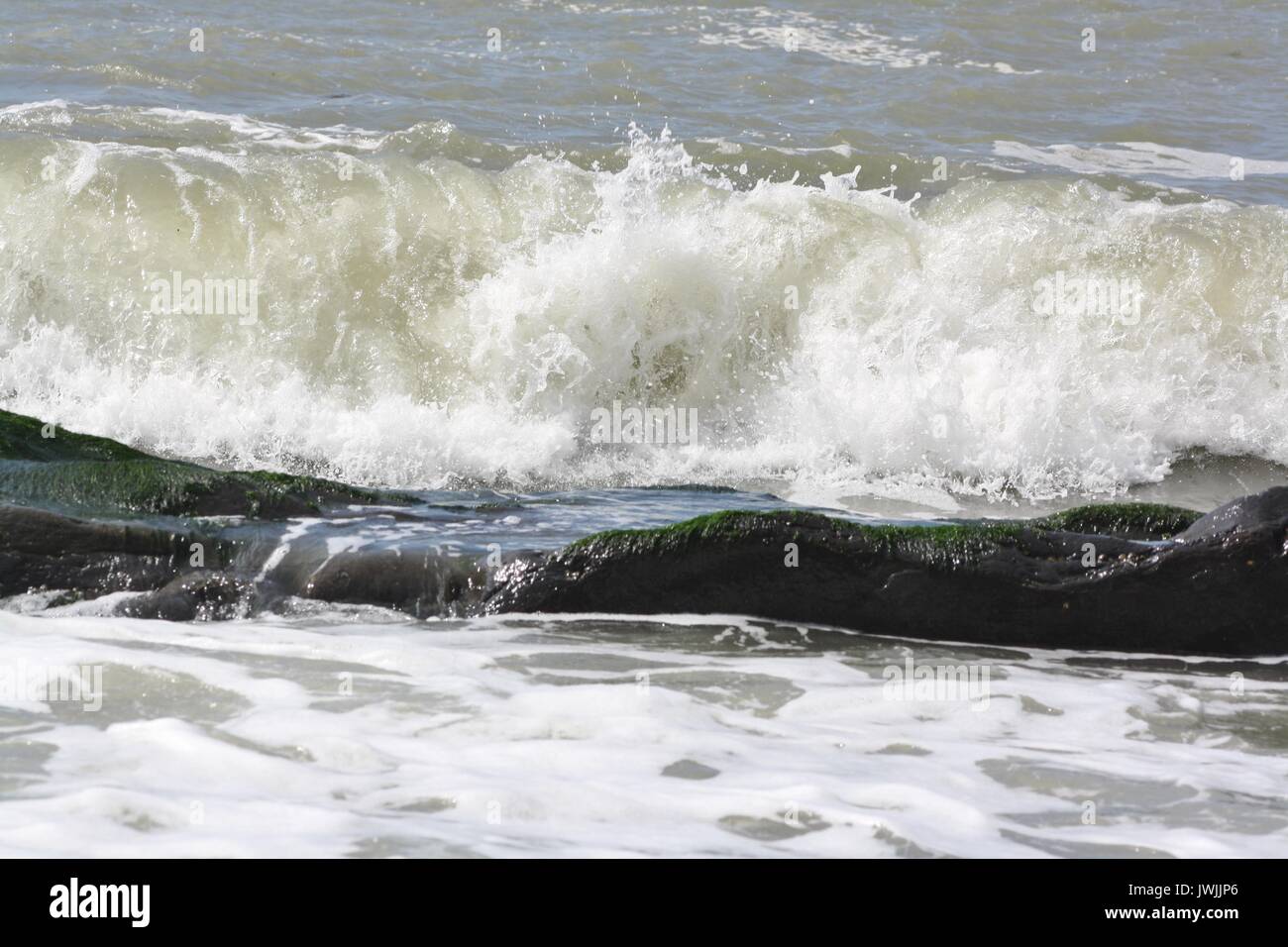 Tide times horse hi-res stock photography and images - Alamy