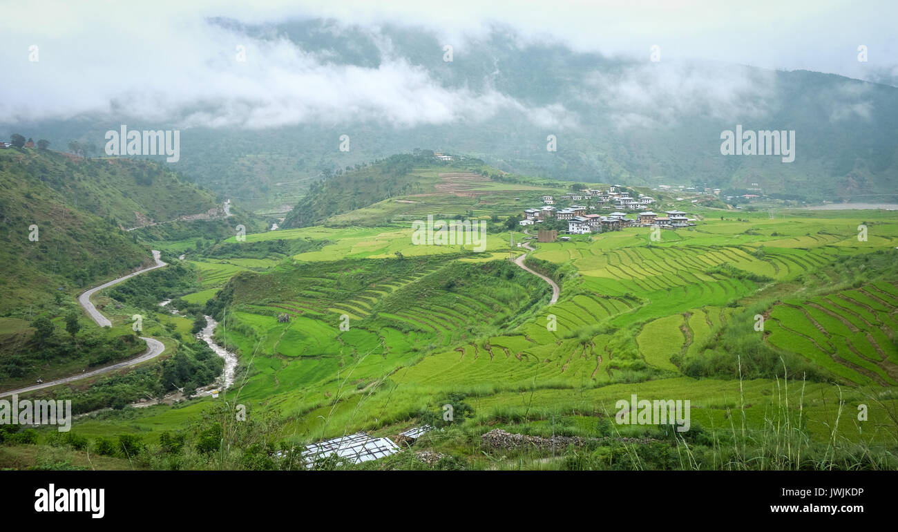 Paddy rice field with mountains at the Sopsokha village, Bhutan ...