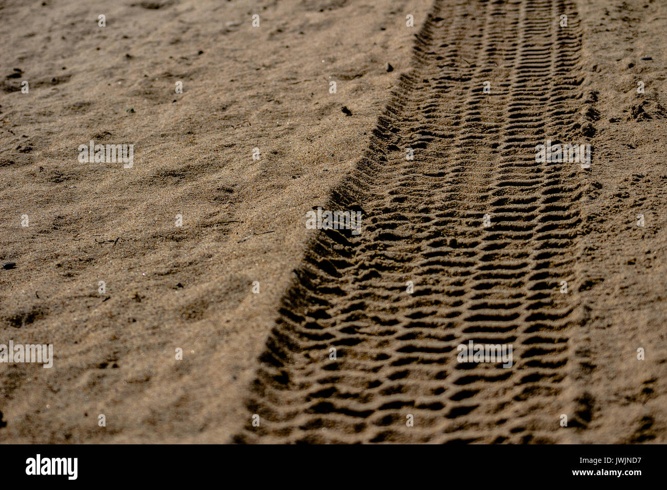 Tracks in the sand Stock Photo - Alamy