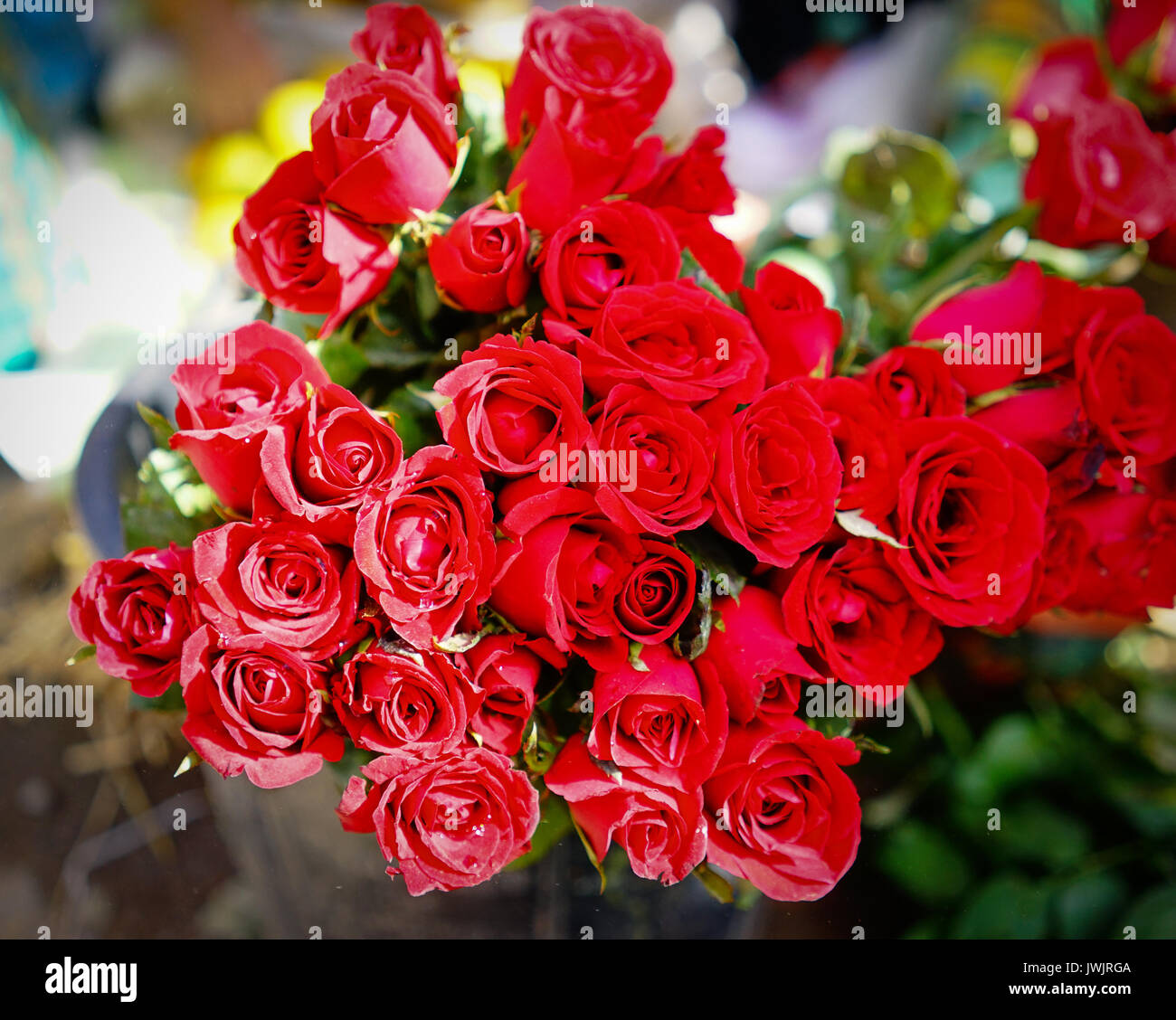 Red roses for sale at the rural market in Yangon, Myanmar Stock Photo ...