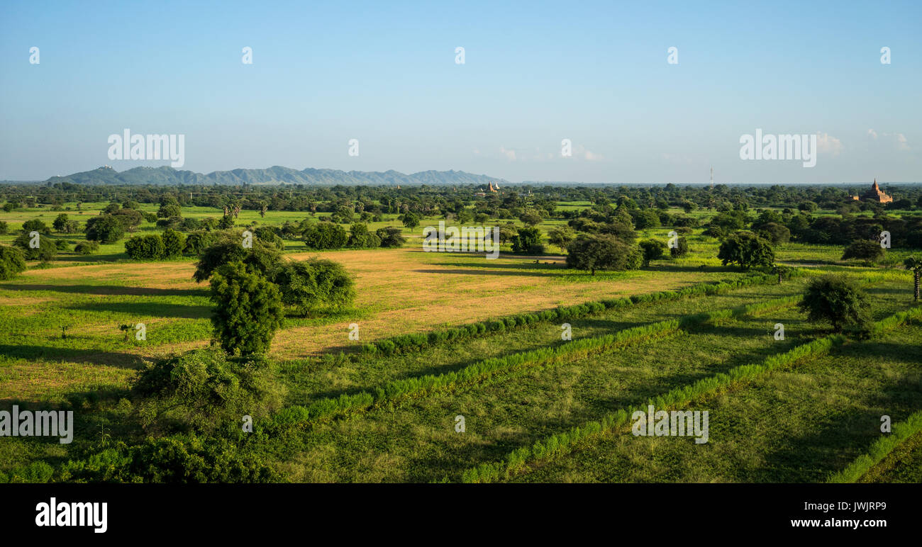 Landscape of Bagan, Myanmar. Bagan in central Burma is one of the world ...