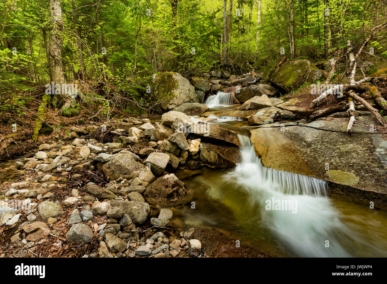 Grafton notch state park hi-res stock photography and images - Alamy