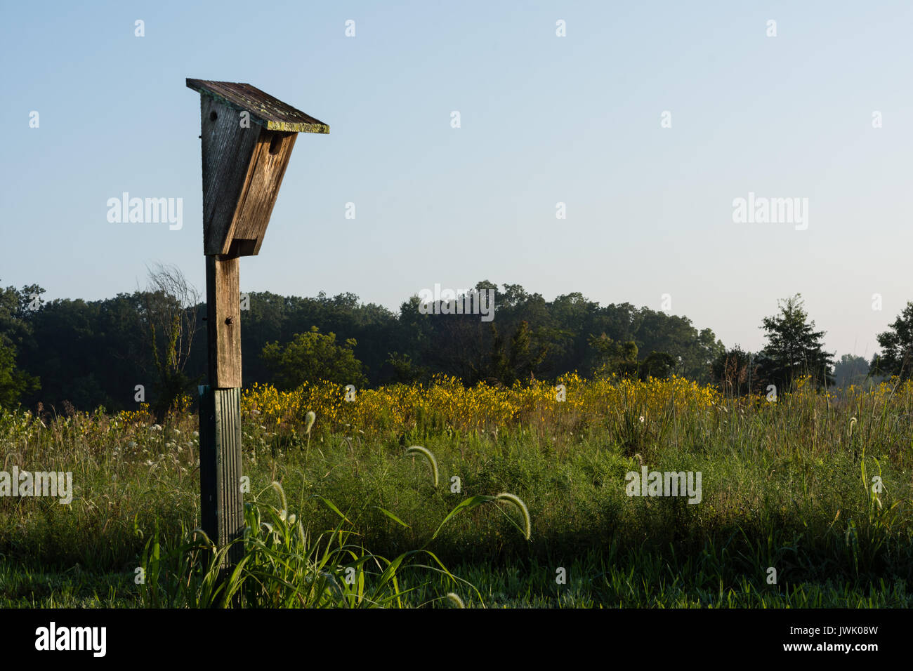 Nesting box along Ohio hiking trail Stock Photo - Alamy