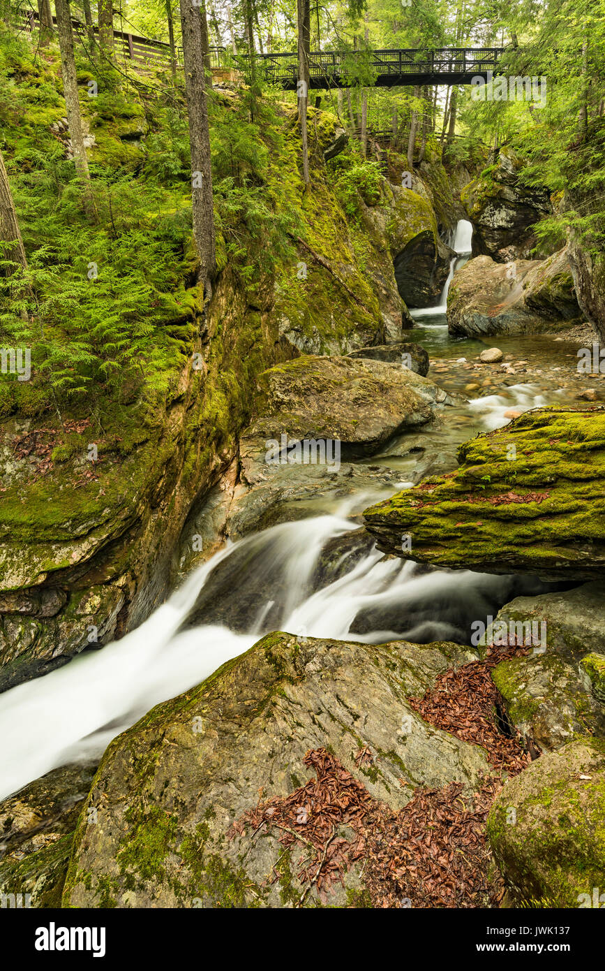 Green mountain national forest, vermont hi-res stock photography and ...