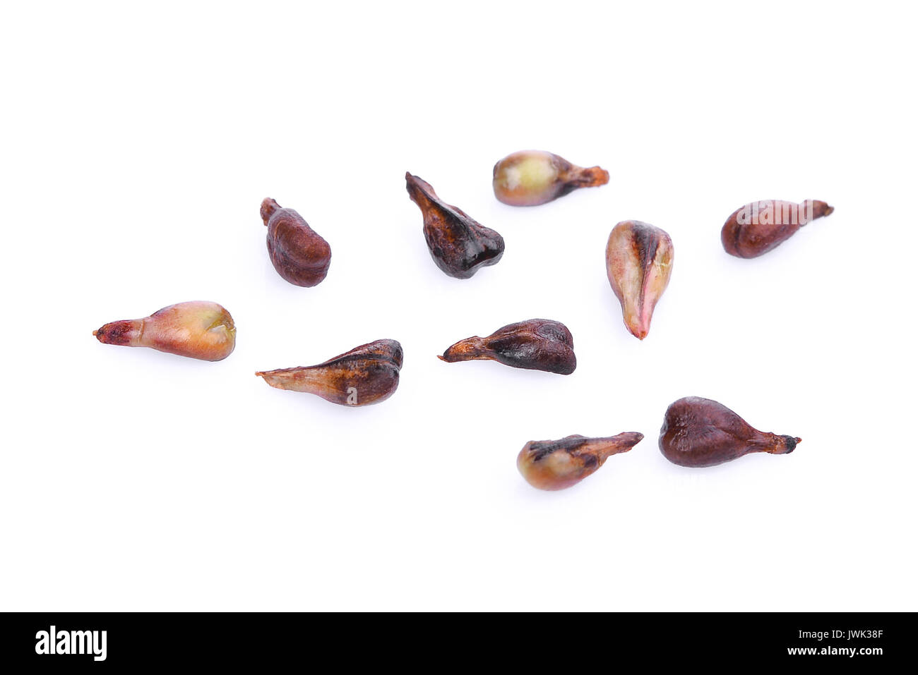 grape seeds isolated on white background Stock Photo - Alamy