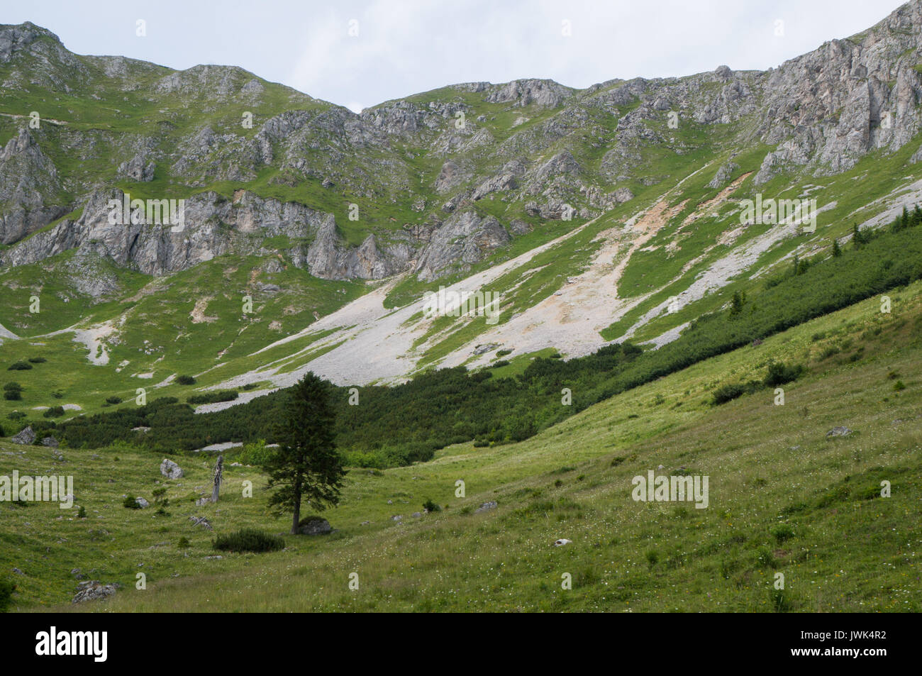 High alpine meadows Stock Photo - Alamy