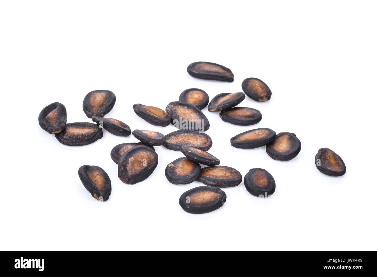 A Single Watermelon Seed