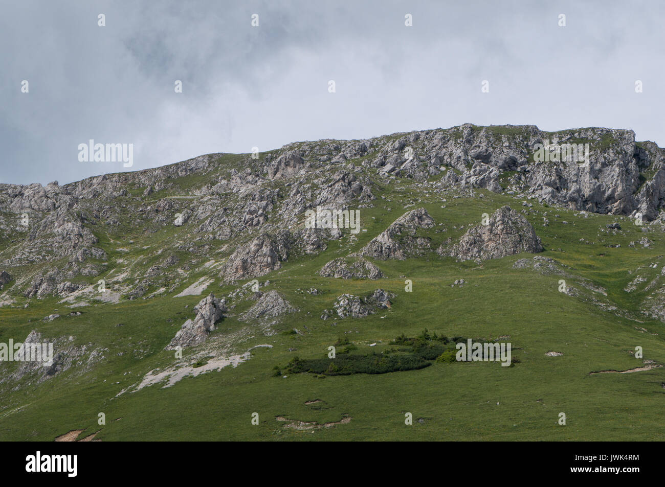 High alpine meadows Stock Photo - Alamy