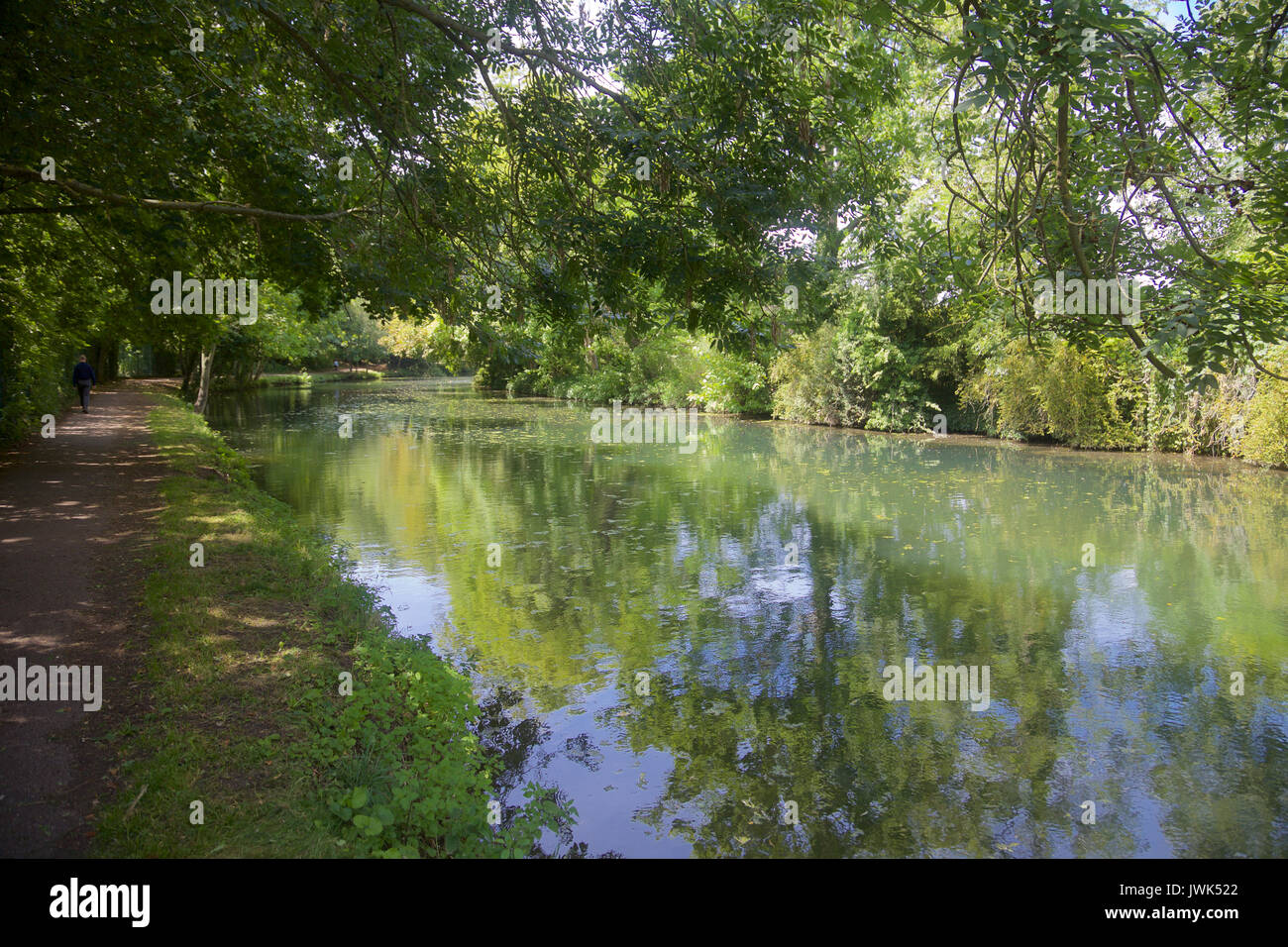 The River Lee, Ware, Hertfordshire, England Stock Photo - Alamy