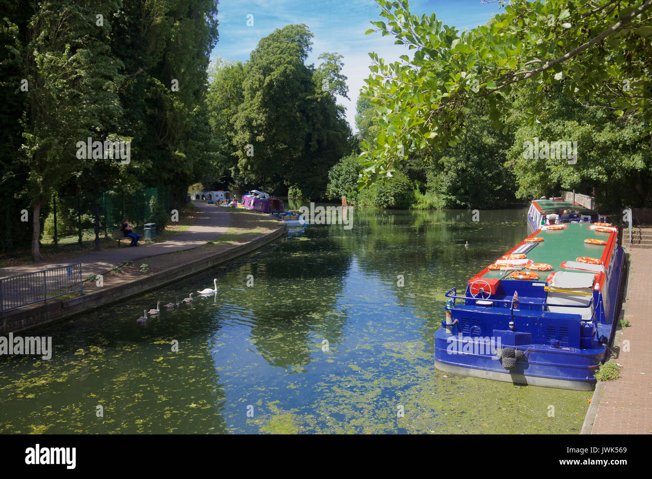 The River Lee, Ware, Hertfordshire, England Stock Photo - Alamy