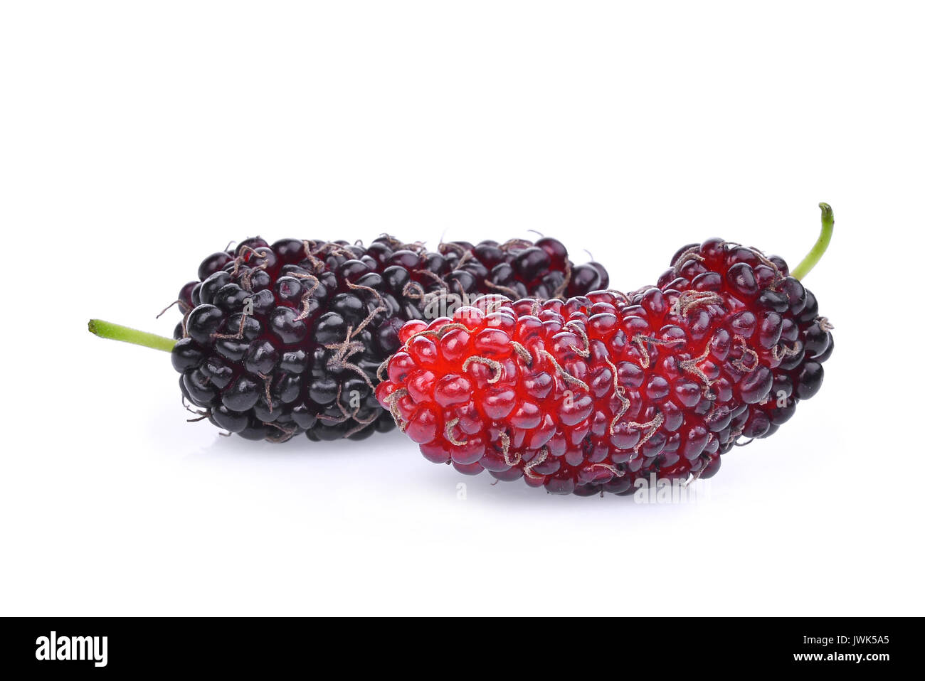fresh mulberry isolated on white background Stock Photo - Alamy