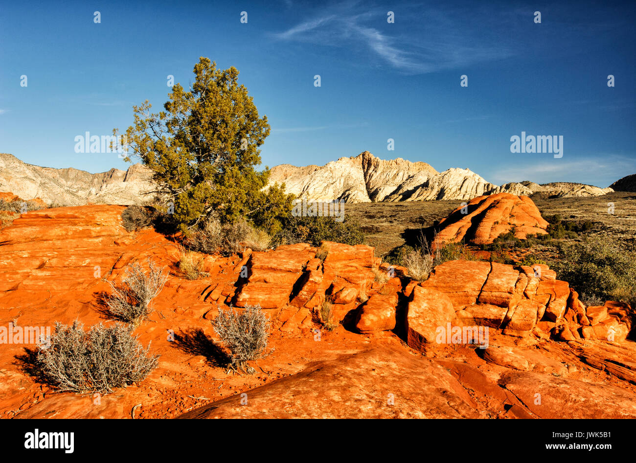 Snow Canyon State Park, St. George, Utah; Sandstone Stock Photo - Alamy