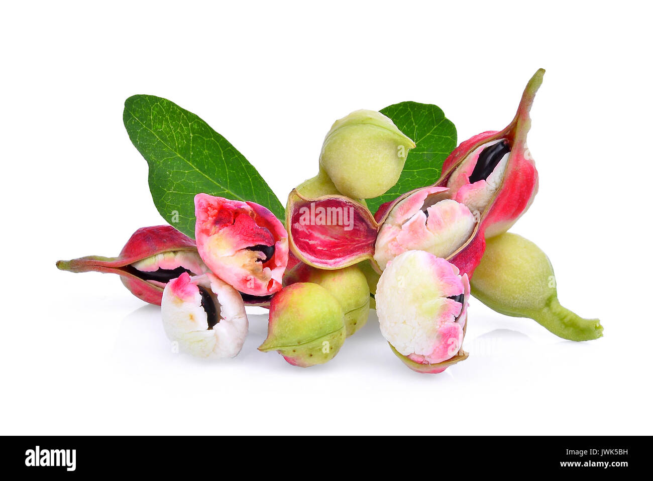 fresh manila tamarind fruit isolated on white background Stock Photo ...