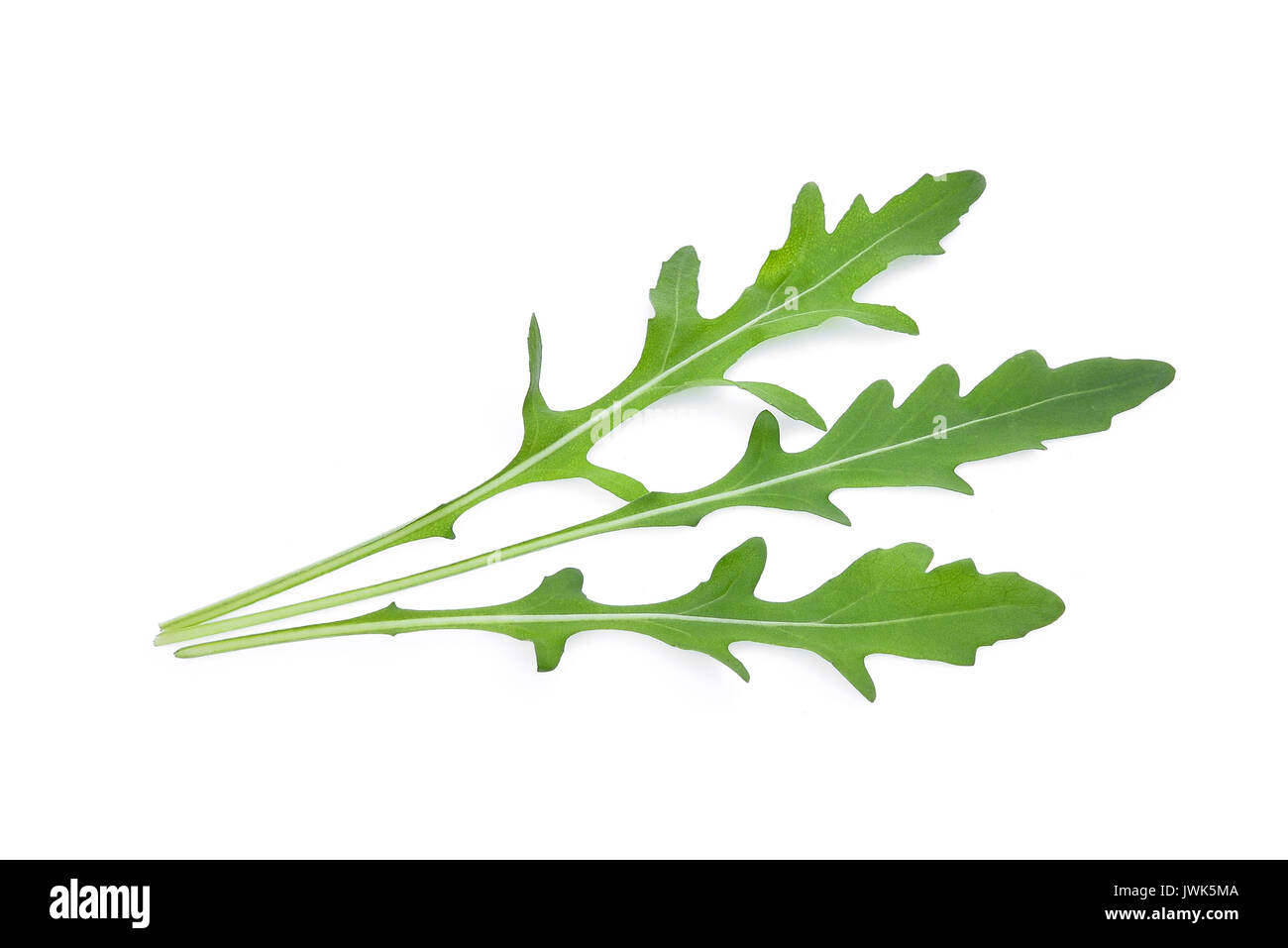 wild rocket leaves(Arugula) isolated on white backbground Stock Photo ...