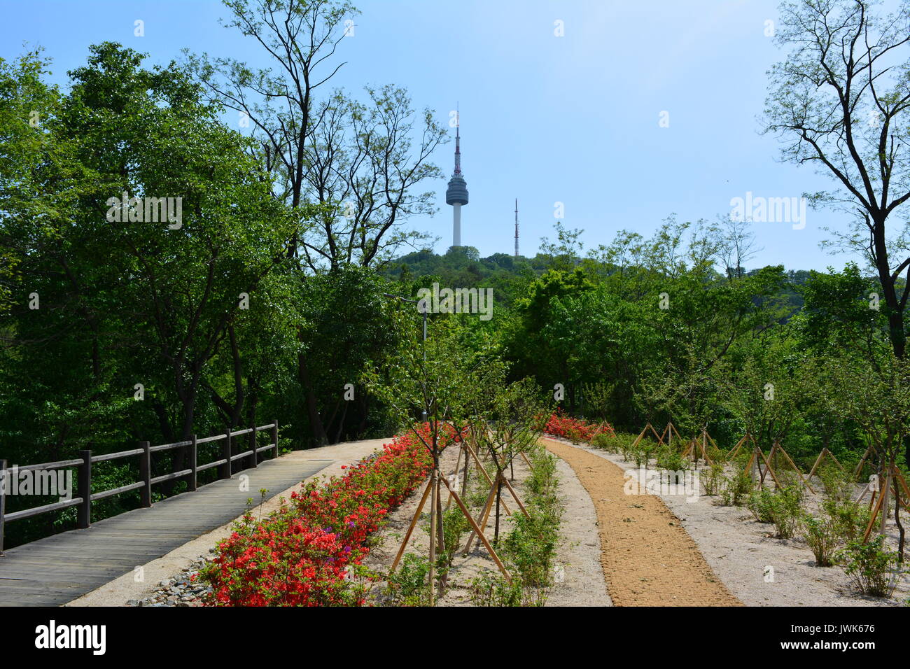 South korean countryside hi-res stock photography and images - Alamy