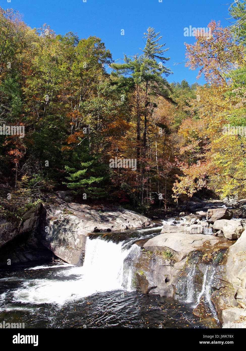 Cherokee national forest hi-res stock photography and images - Alamy