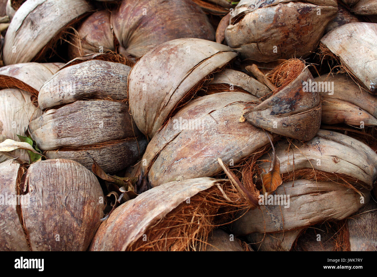 Pile of coconut husks hi-res stock photography and images - Alamy