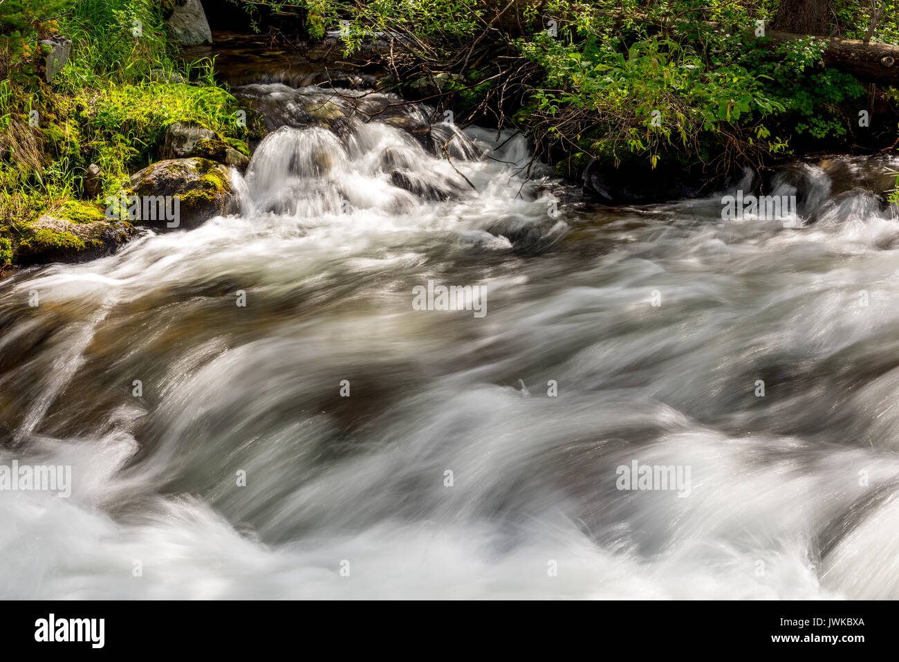 Motion blur water as it flows down a stream Stock Photo - Alamy