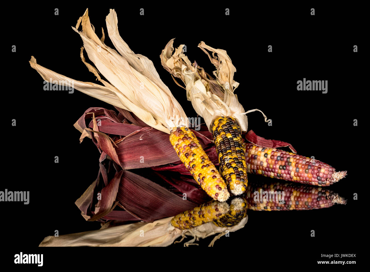 Three ears of corn hi-res stock photography and images - Alamy